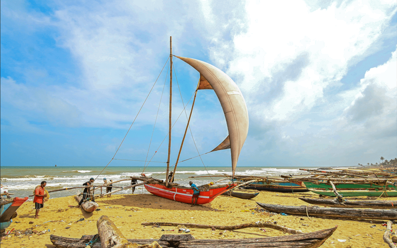 Gallery – Negombo Municipal Council