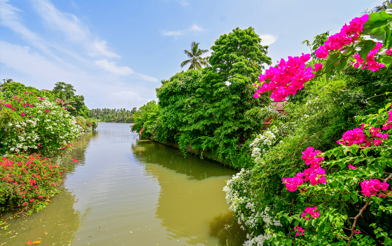 Gallery – Negombo Municipal Council